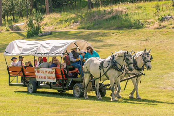 Ultimate Activity Menu - Black Hills Vacations